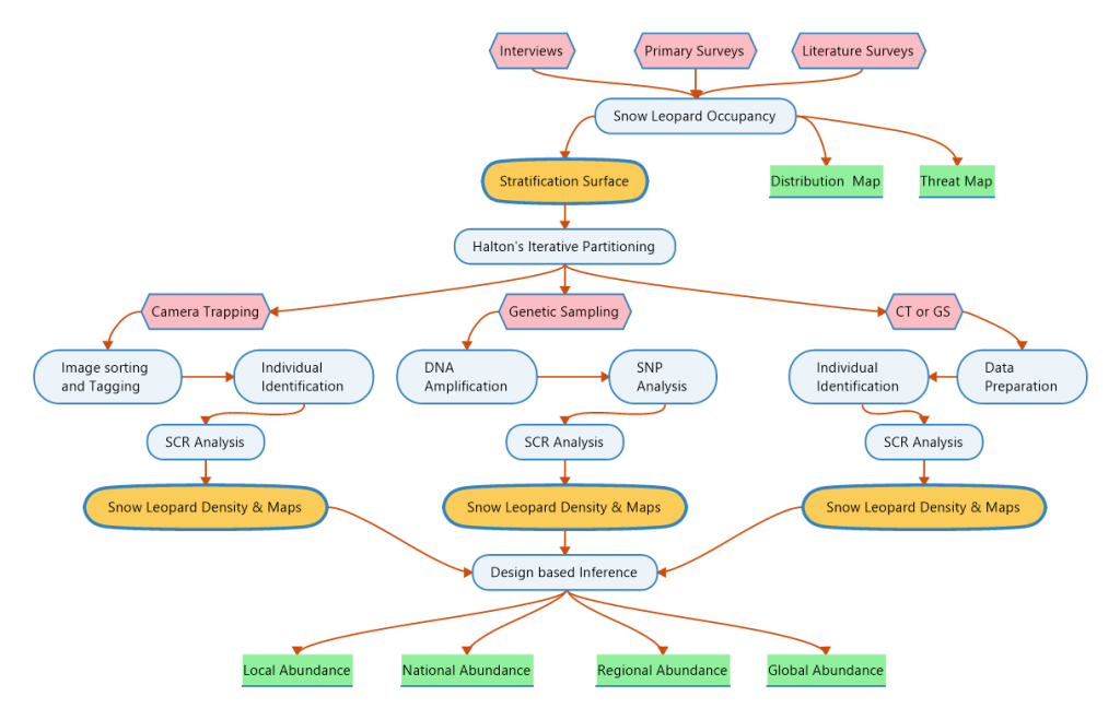 The PAWS Process | Global Snow Leopard & Ecosystem Protection Program