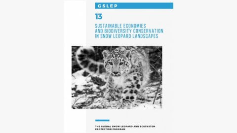 Sustainable economies and biodiversity conservation in snow leopard ...